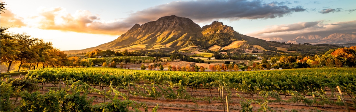 Greater Simonsberg | Simon Wine Emporium
